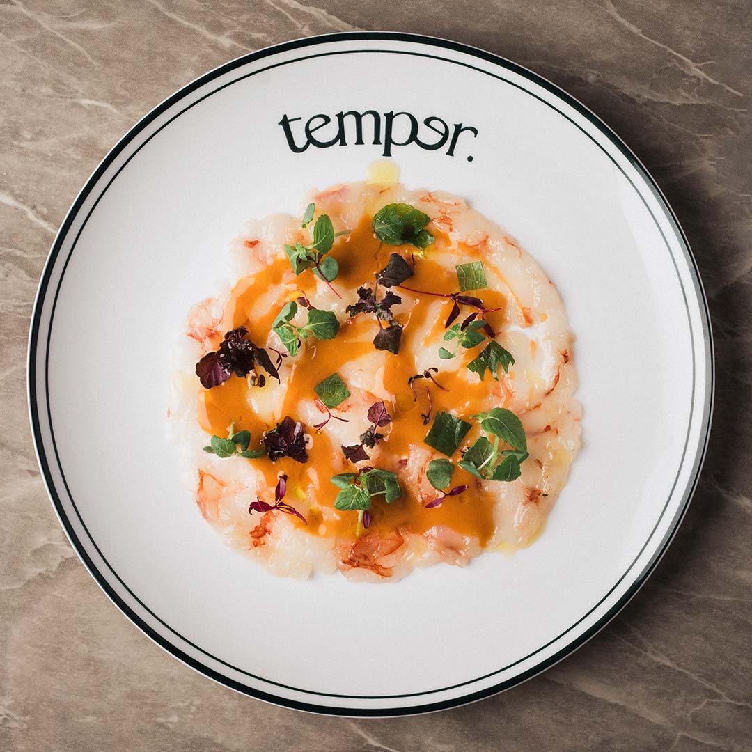 Temper - Great New Places